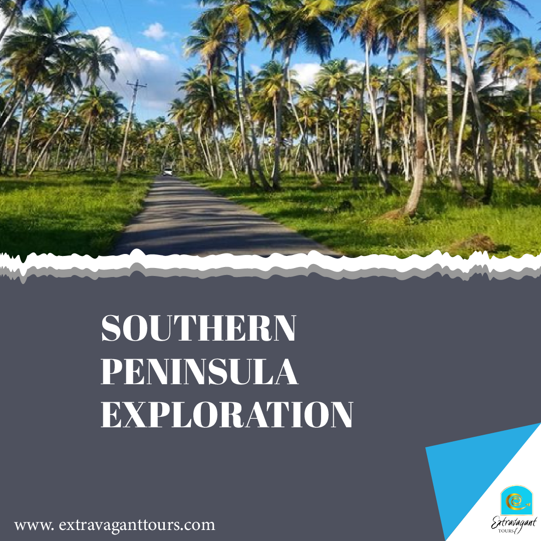 Southern Peninsula Exploration - Extravagant Tours