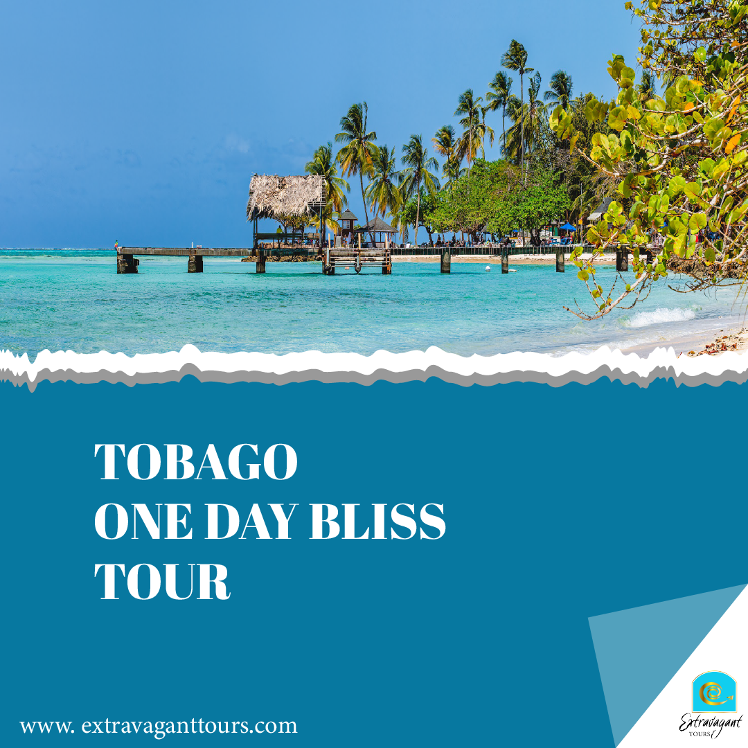 Tobago One Day Escape - Extravagant Tours